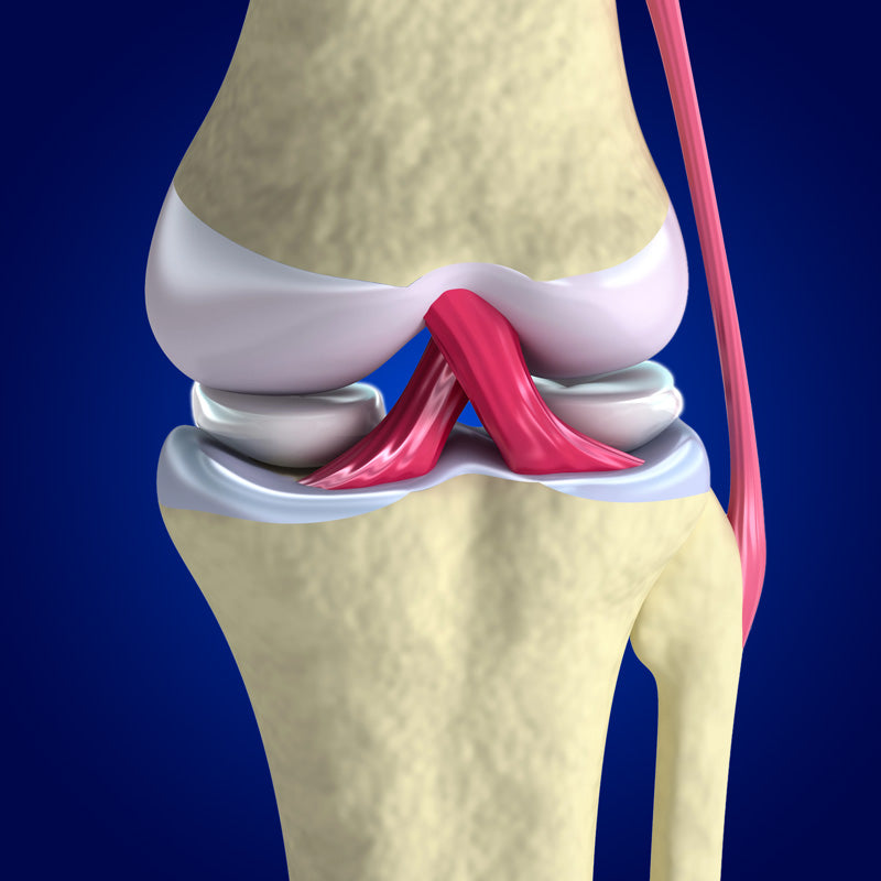 Bone & Joint | DoctorME UK – doctor-me
